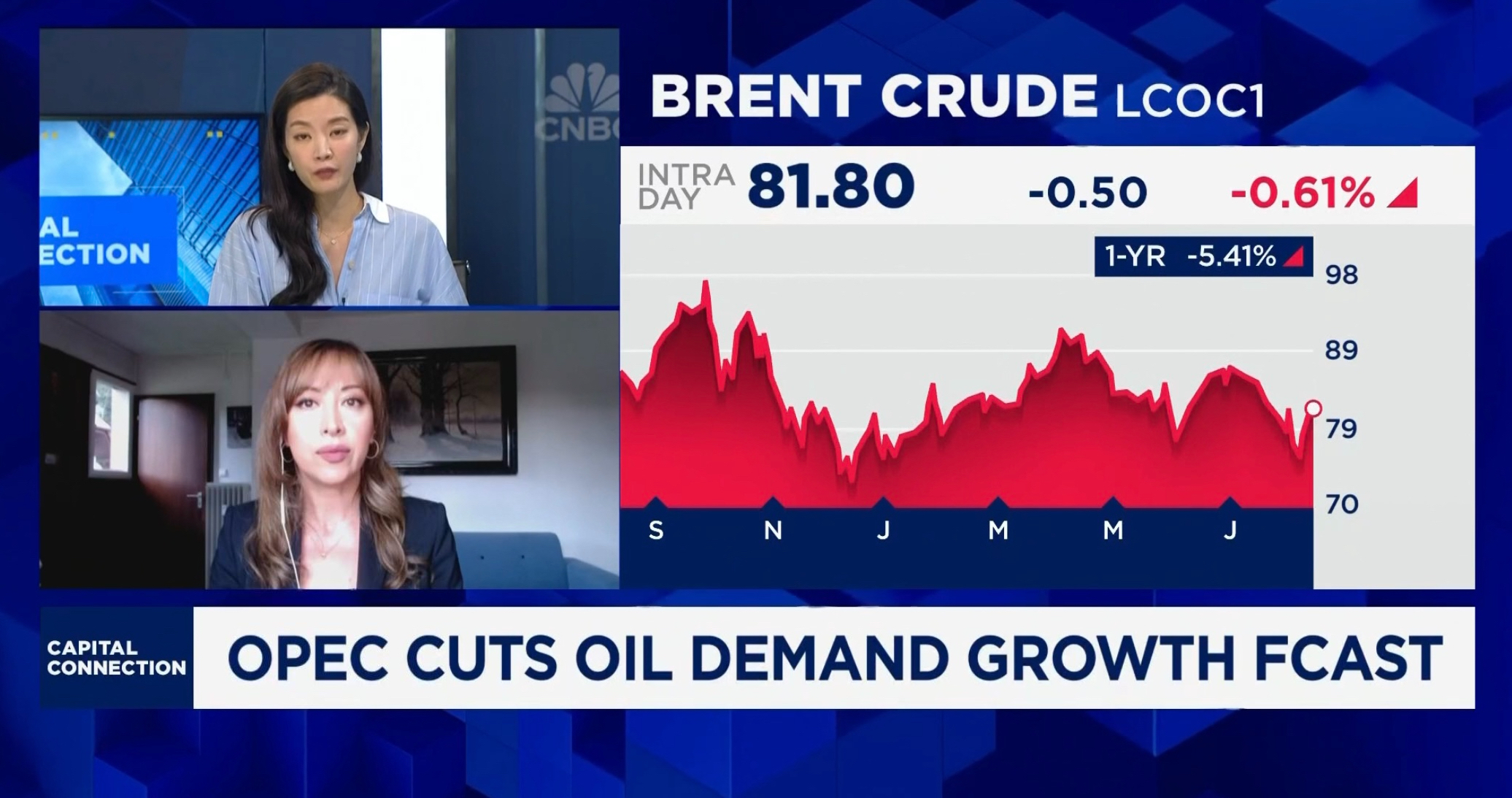 OPEC cuts oil demand growth forecast - Crystol Energy